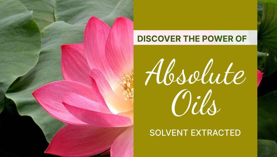 Absolute Oils | Buy Online at Wholesale Price | Manufacturer, Bulk Supplier – Organic Aroma Oils