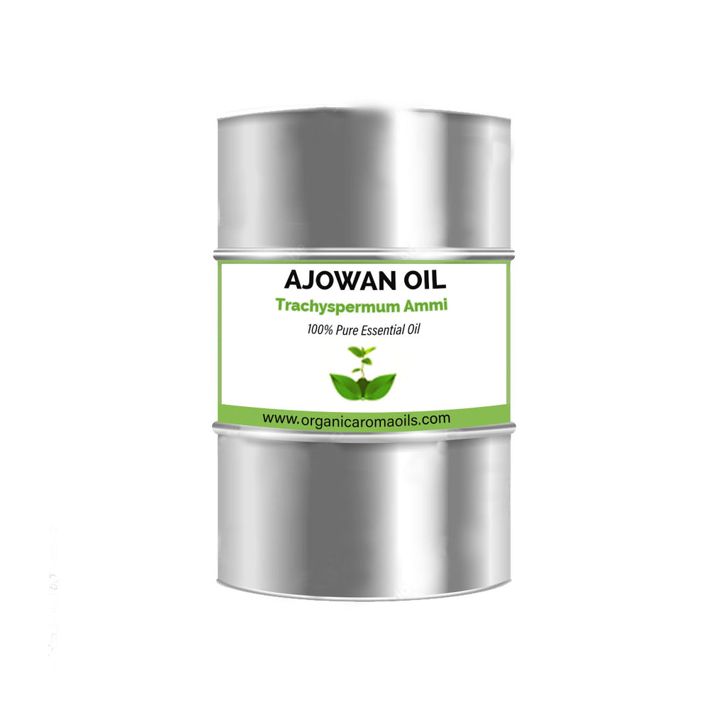 Buy Ajowan (Ajwain) Essential Oil Online - 100% Pure – Organic Aroma Oils